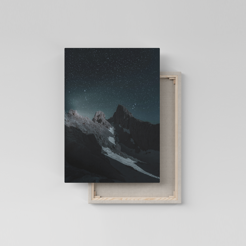 CANVAS CON NATURALEZA – Innovaprint MX
